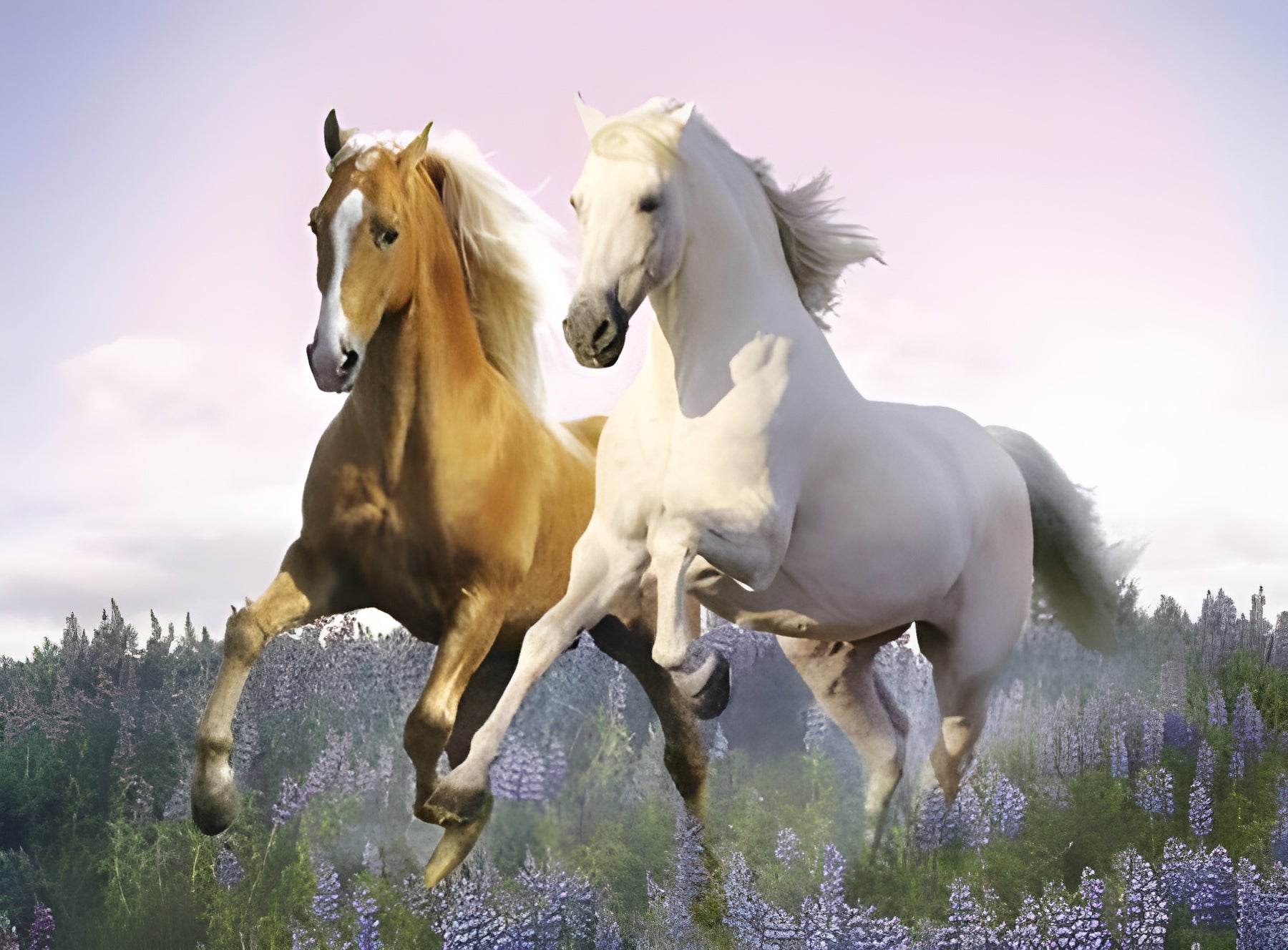 Free Horses – 500 Piece Puzzle (Clementoni) – Puzzle House